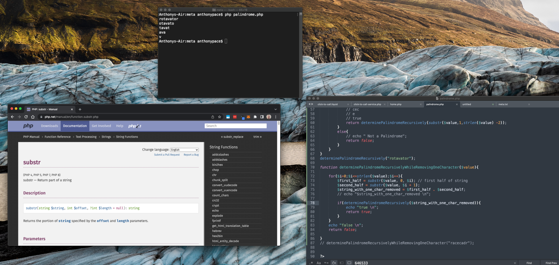 Palindromes In PHP AntPace