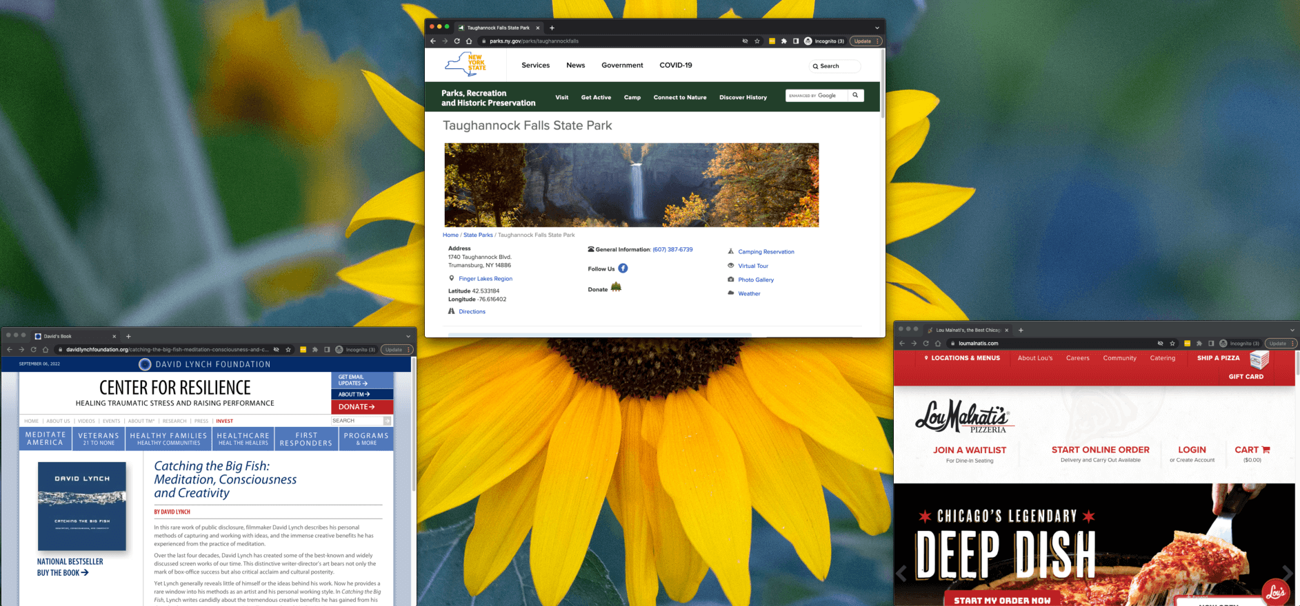 2022 August | Anthony Pace Blog